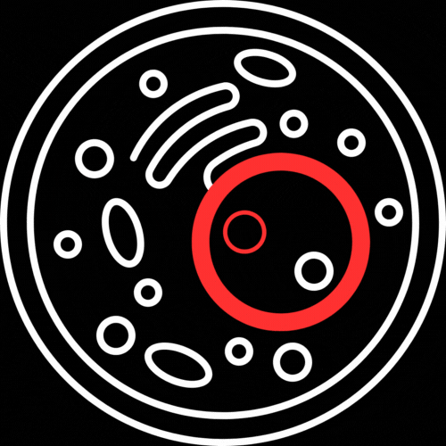 MATRIOUX | Trusted Biotech Lab Equipment & Service Support